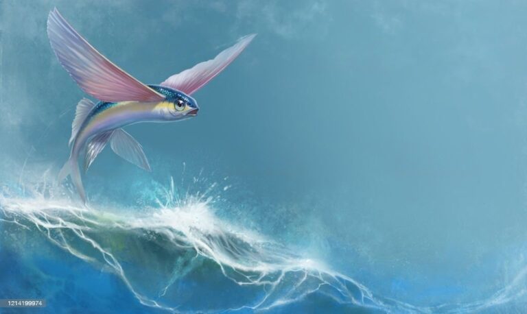 Types of Flying Fish | Discover the Fascinating Varieties